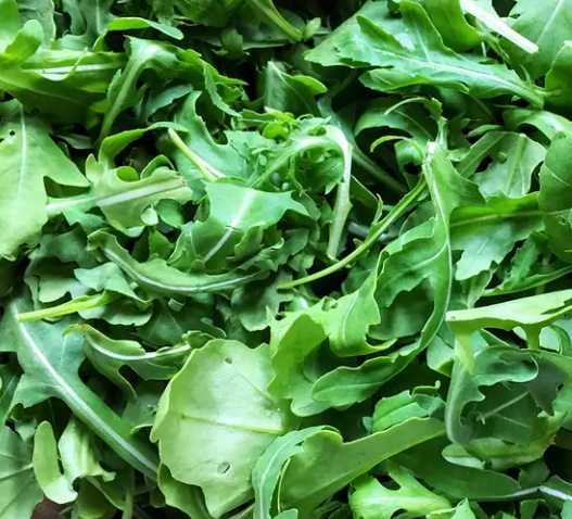 Organic Astro Arugula Seeds – Northern Seeds