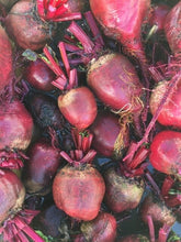 All Seeds – Northern Seeds